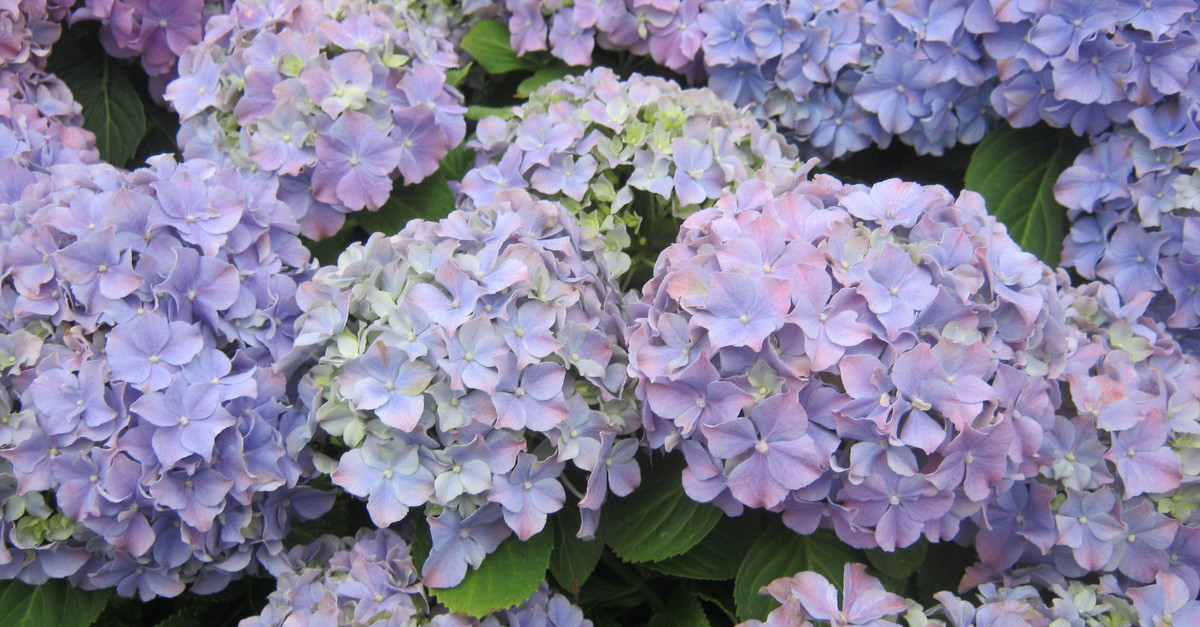 Brow Savvy: Enhance Your Natural Beauty in Mississauga